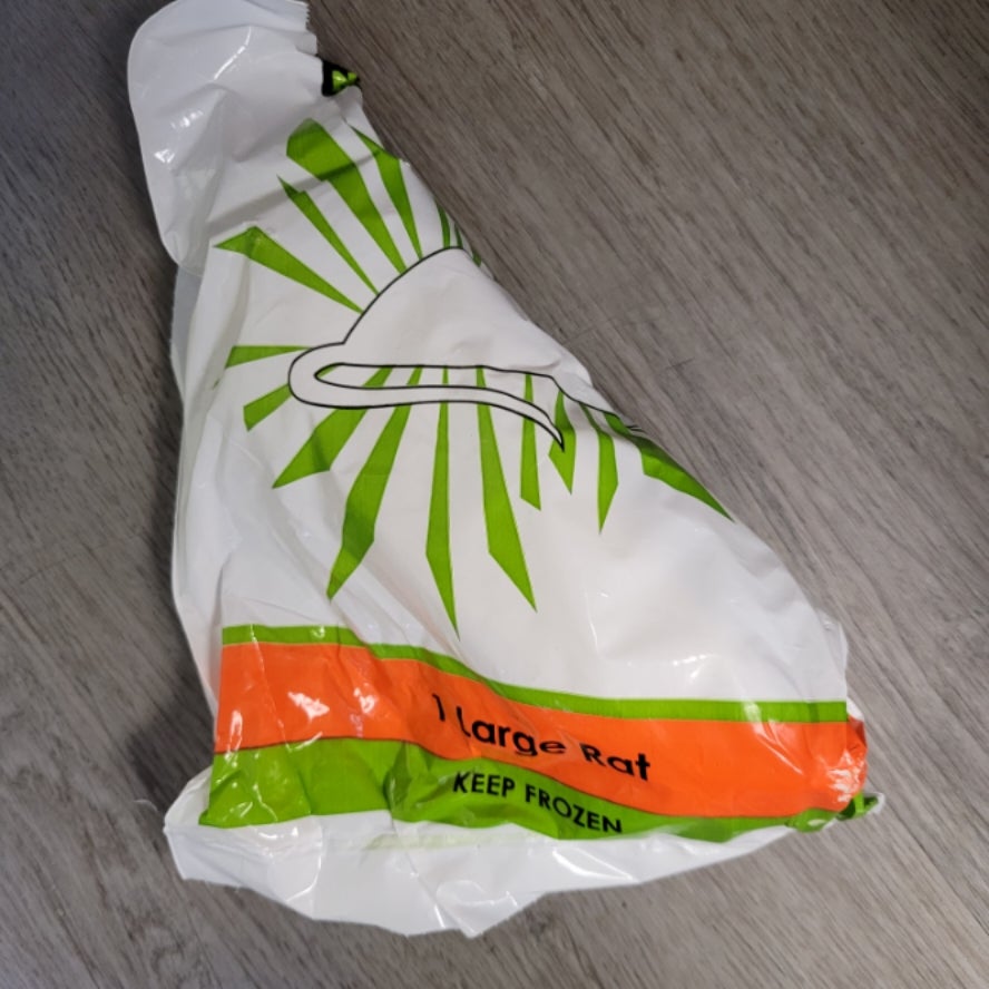 Rat Frozen Large 150-265g | High Desert Geckos Exotic Pets & Supplies